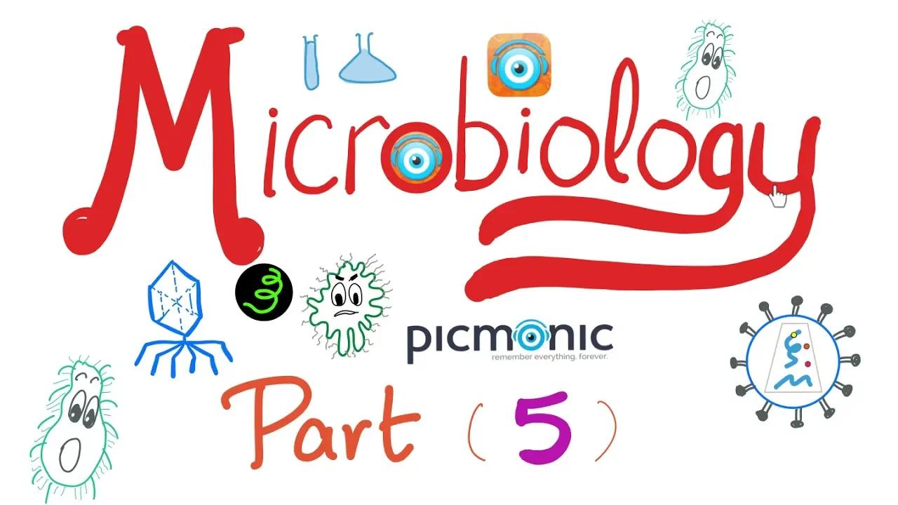 Picmonic Microbiology (Part 5) | Bacillus anthracis, Bacillus cereus ...