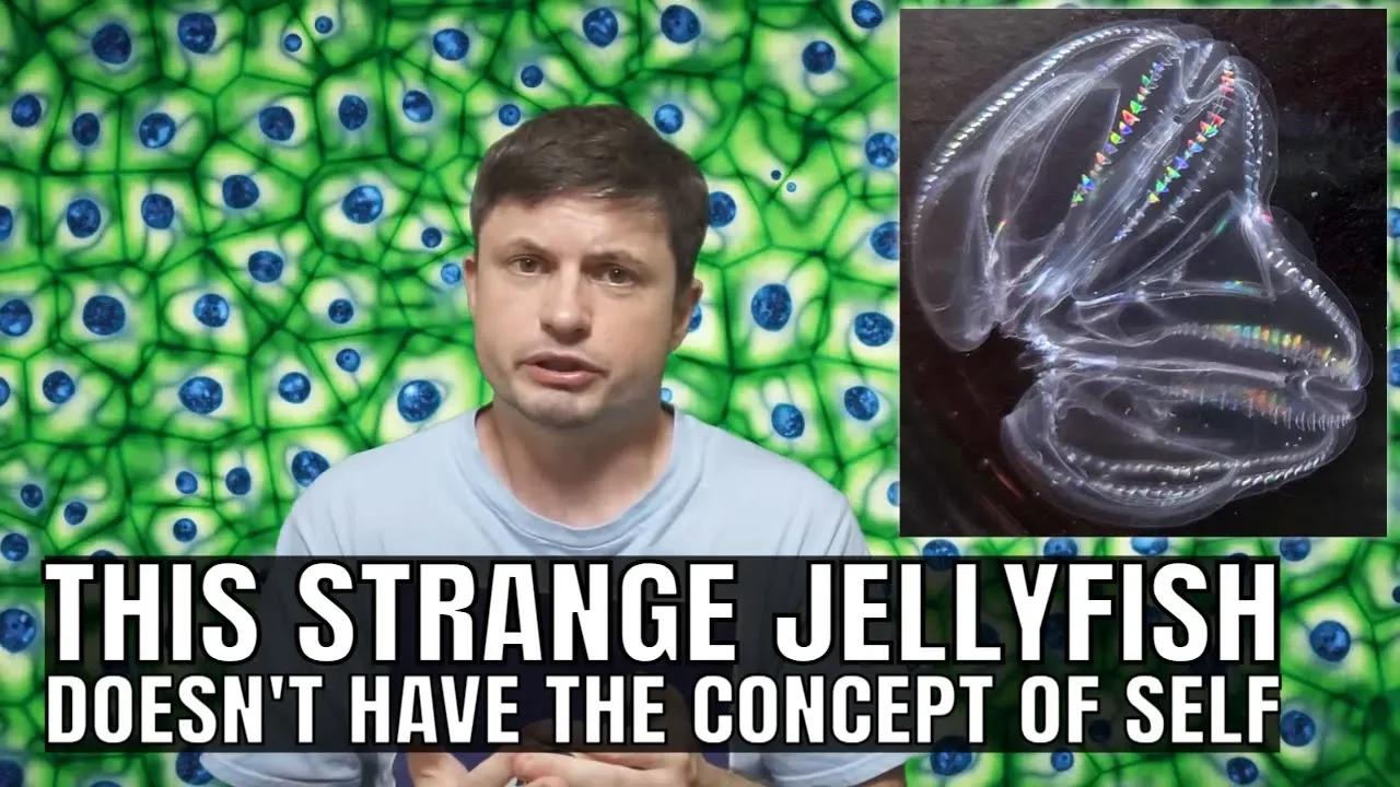 Strange Discovery of an Organism That Can Fuse Becoming a New Individual