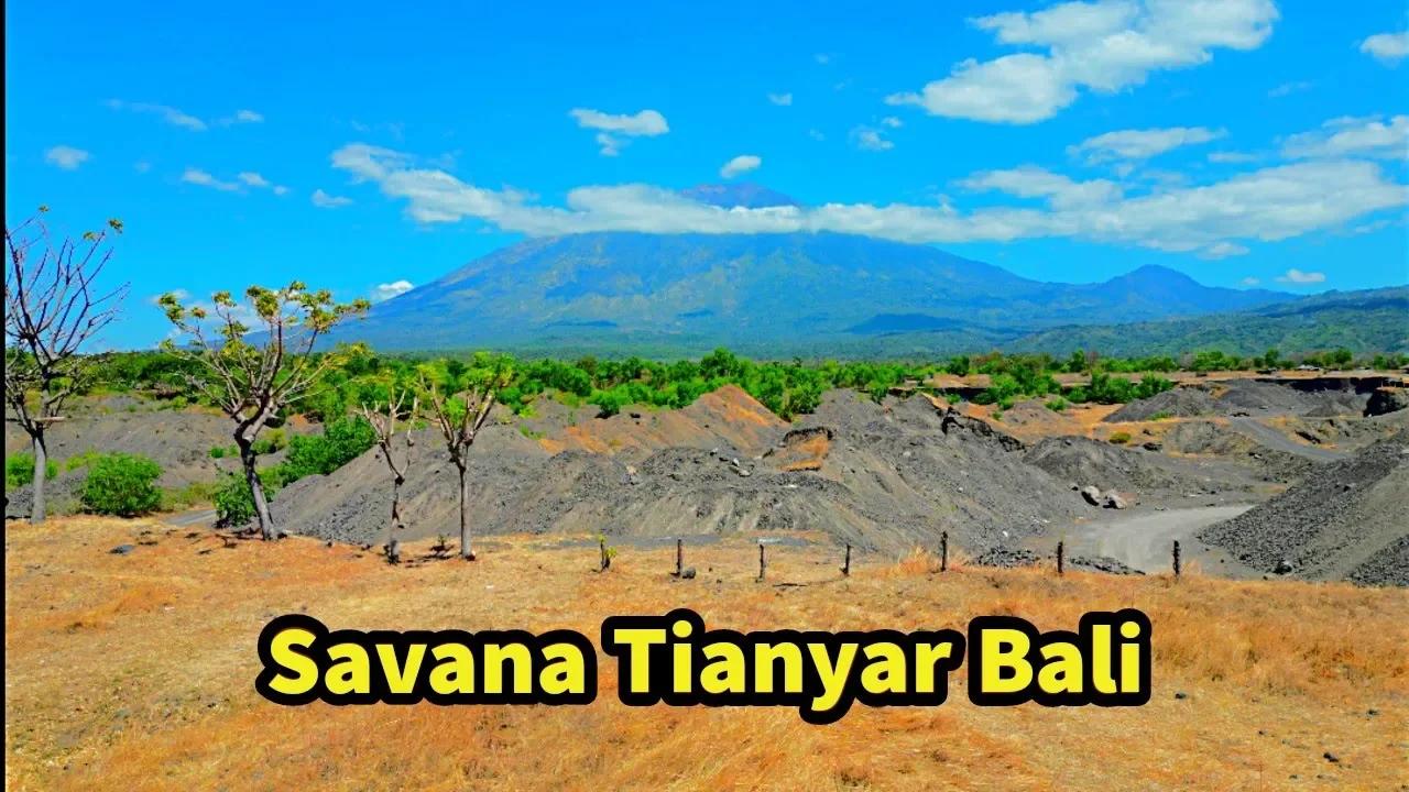 Savana Tianyar. Mount Agung Point Of View