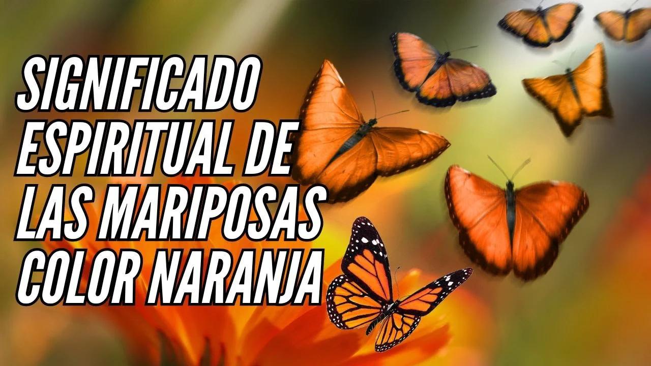Significado espiritual de las mariposas de color marrón o café. Una ...