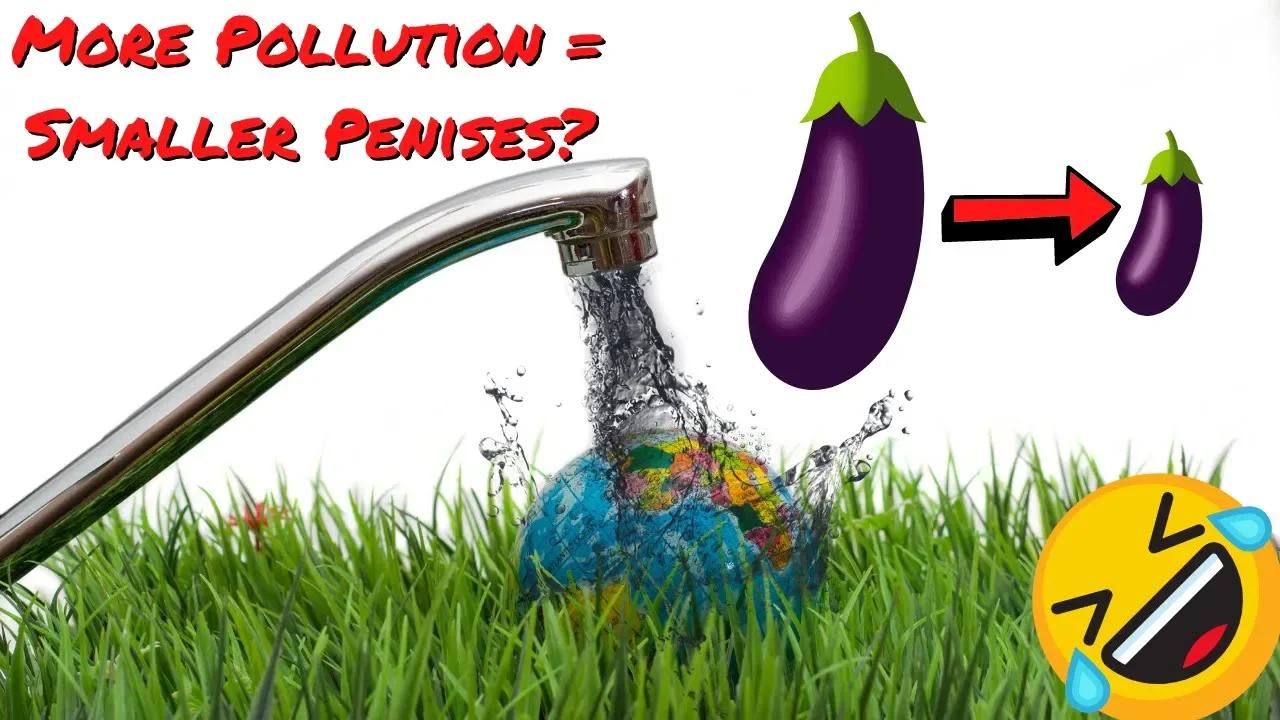 Penises Shrinking Due To Pollution