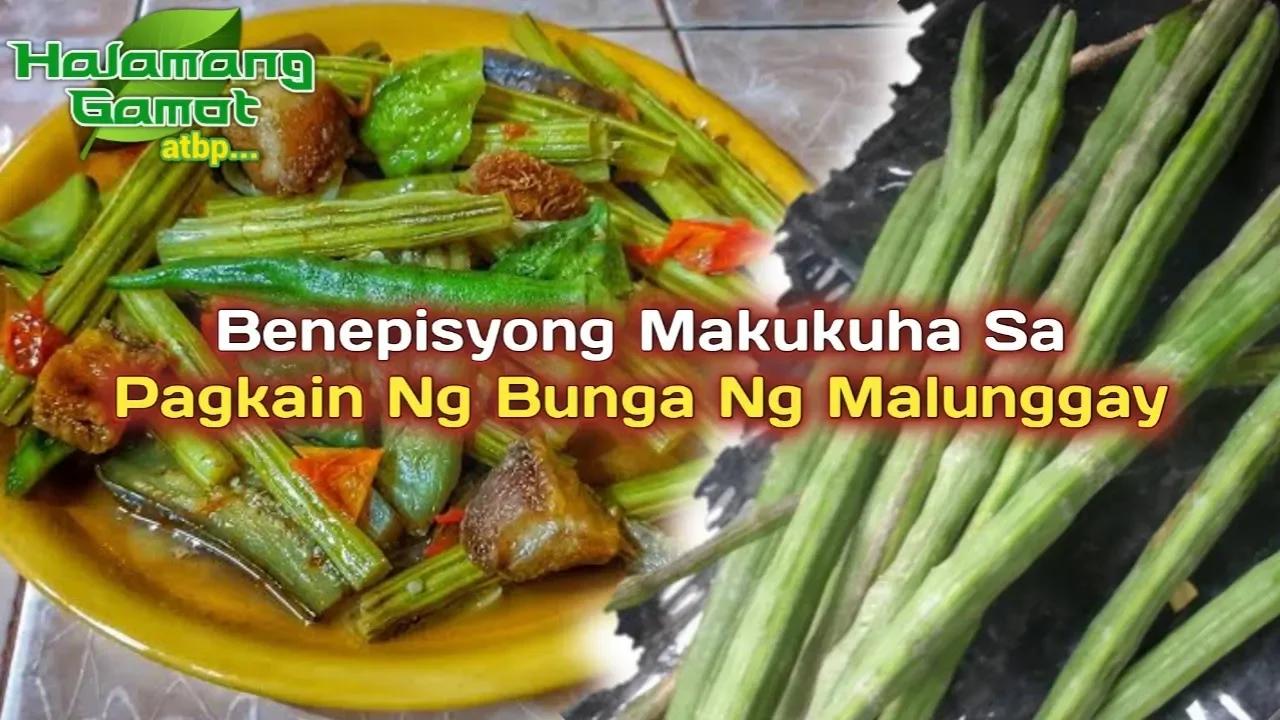 Pagkain Ng Bunga Ng Malunggay Para Sa Diabetes, Immune System ...
