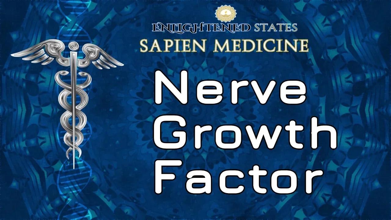 Nerve Growth factor (targeted to brain and entire nervous system)
