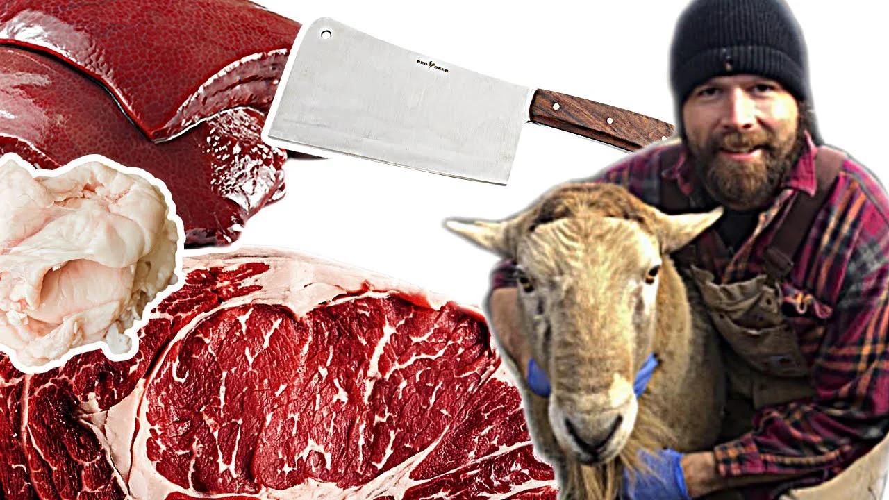 Derek Nance: 14 Years of Raw Meat (Healing Gut, Organ Benefits ...