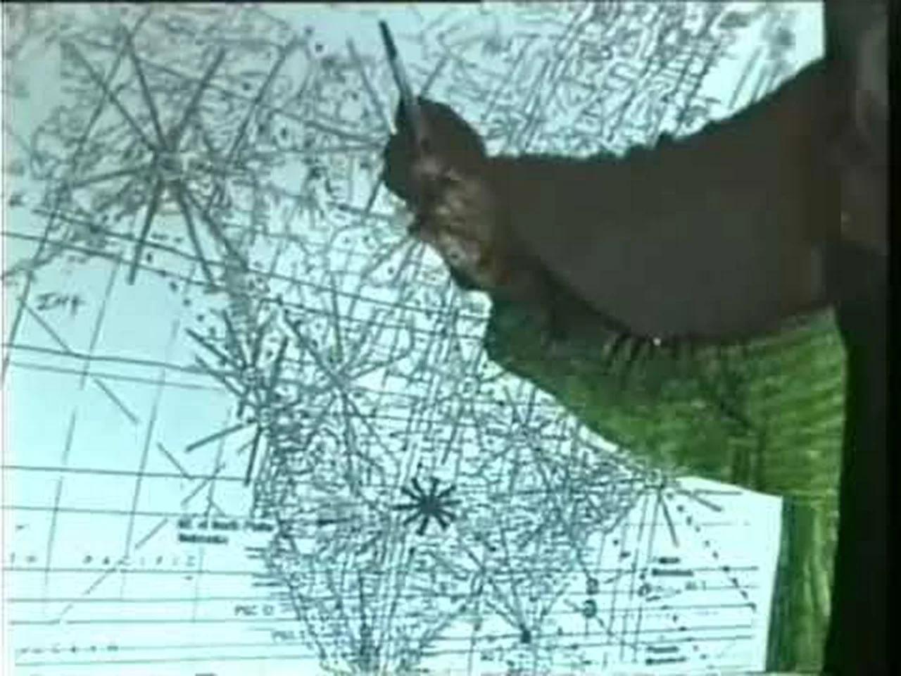 Arc Project, Bridge Zone, Grid Mechanics, Beast Anatomy Ashayana Deane