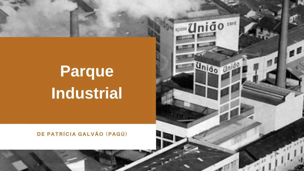 Livro: Parque Industrial de Pagu (Patrícia Galvão) - Literatura Brasileira