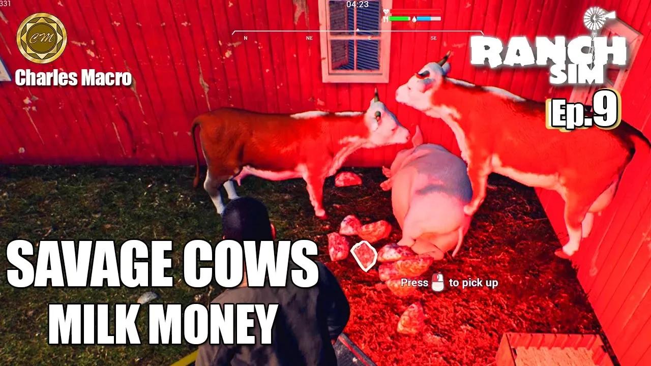 SAVAGE COWS and MILK MONEY | RANCH SIMULATOR | Ep. 9