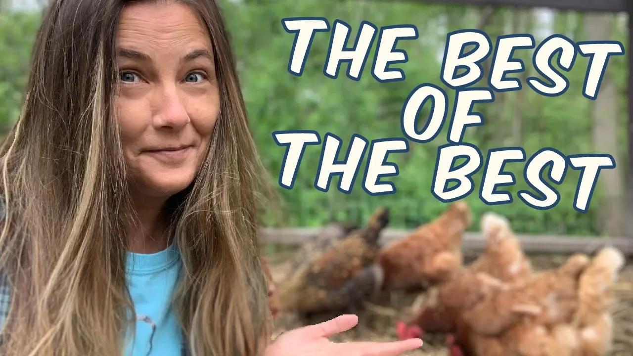 The Best Chicken Breeds For Different Situations