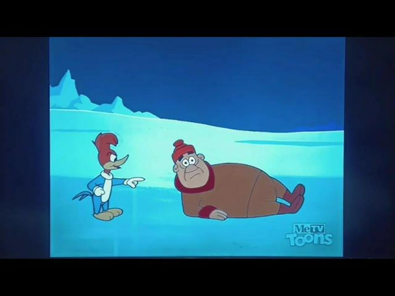 Woody Woodpecker Cameo in "Chilly Chums (1967)", But It's On MeTV Toons (August 22, 2024)