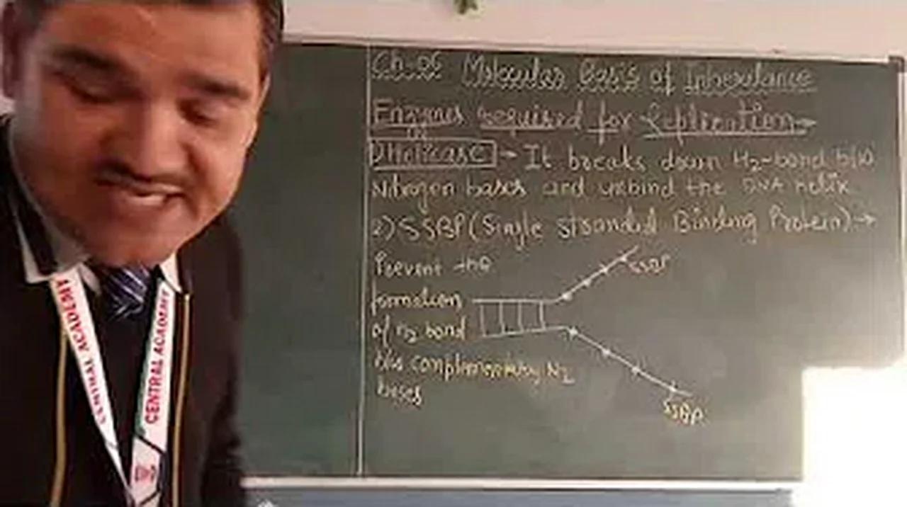Class XII Ch 6 Molecular Basis of inheritance Inheritance Part 11