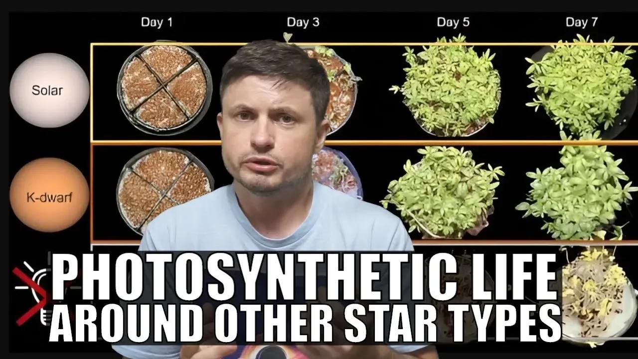 Unexpected Discoveries About Photosynthesis Around K-Type Stars