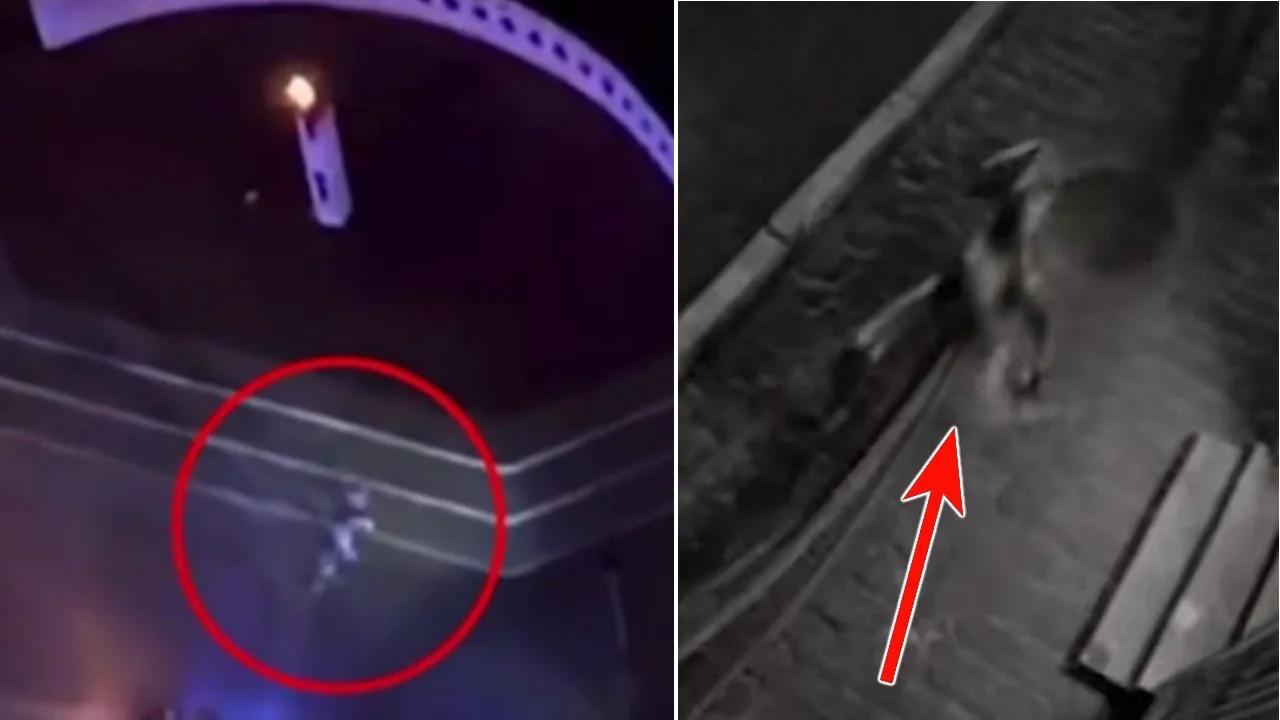 Miami Alien Video- New Footage: Something Very Βizarre Just Happened At ...
