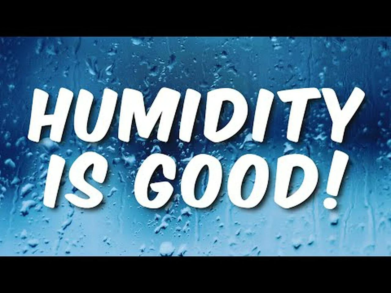 How to make humid hides for your reptiles (2021)