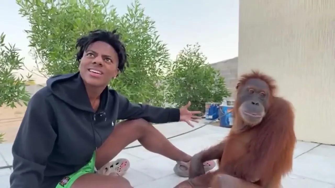 iShowSpeed meets a monkey