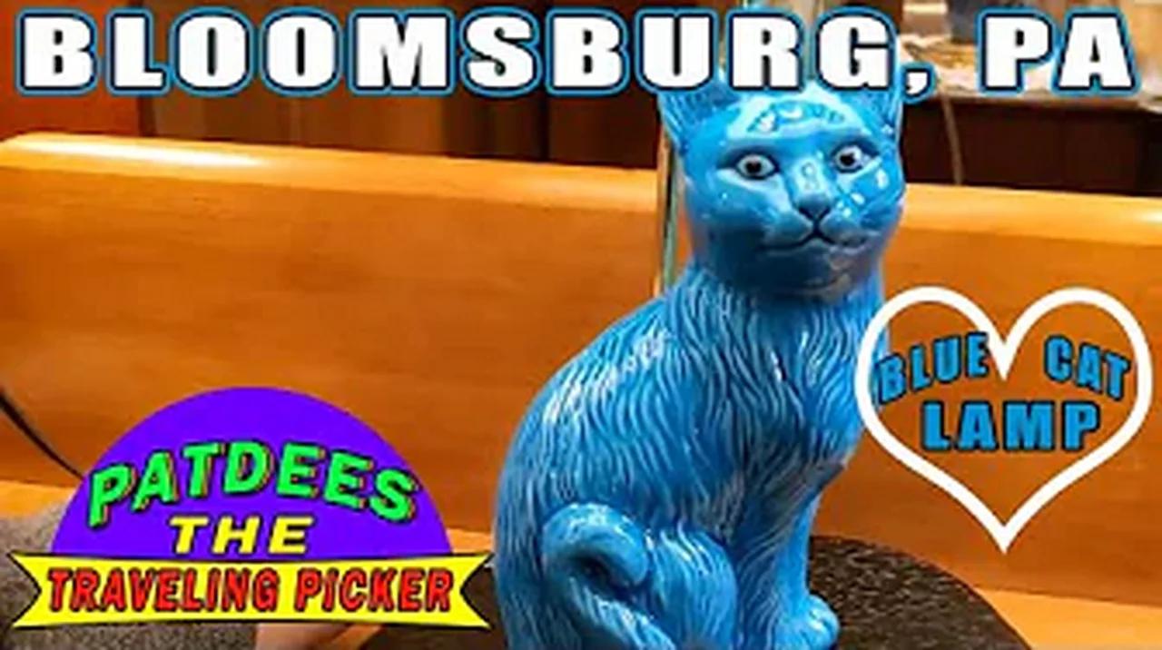 Patdees The Traveling Picker Episode #4 - We Visit Bloomsburg, Pa