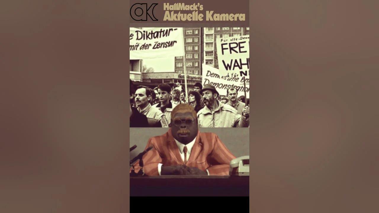 AK 41 Demokratiefördergesetz (Ausschnitt 1)