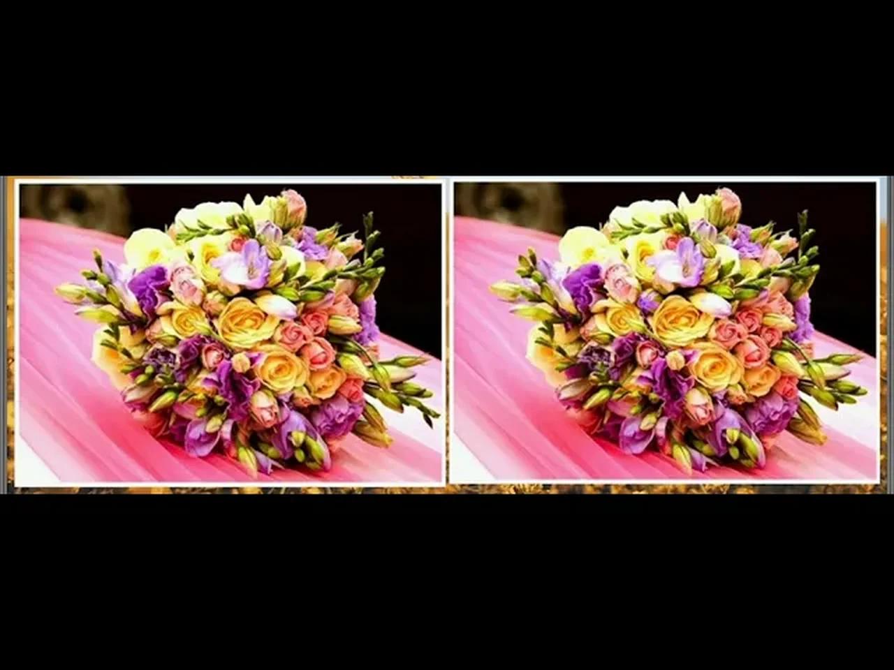 Spot the difference | Find the difference | Puzzle 1 Flowers
