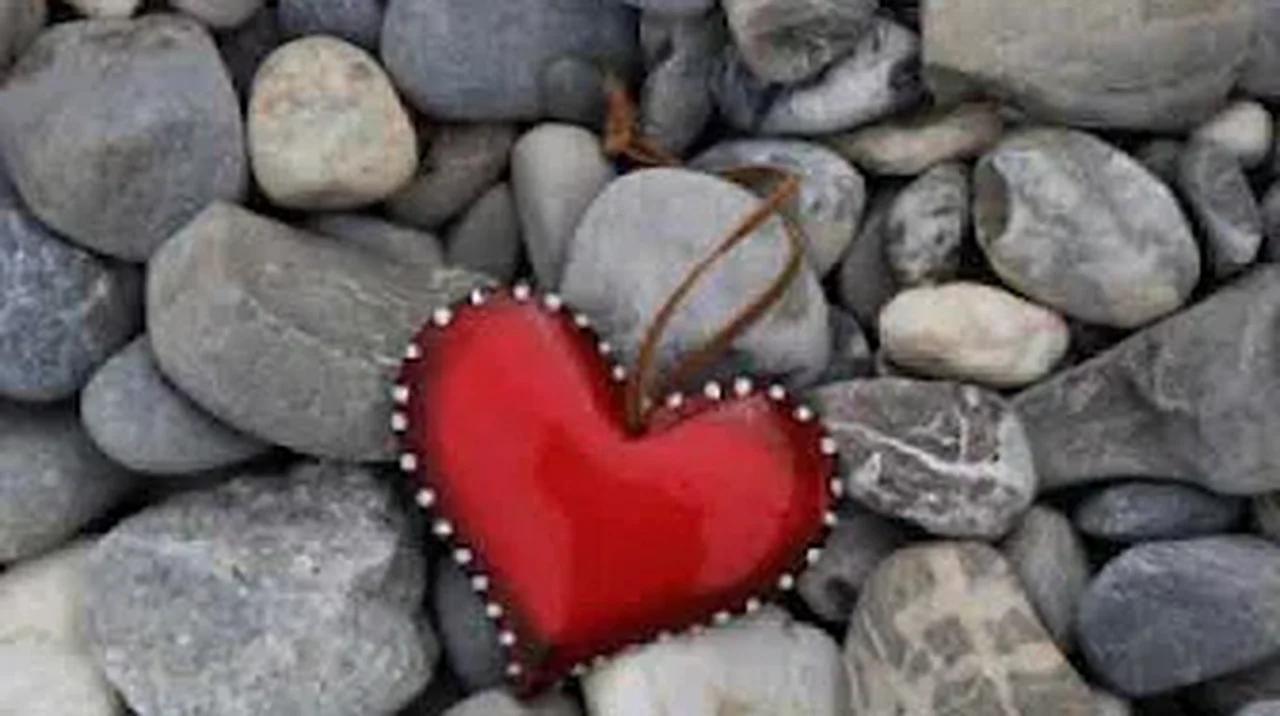 Fra Ivo Pavić - Dar Ljubavi