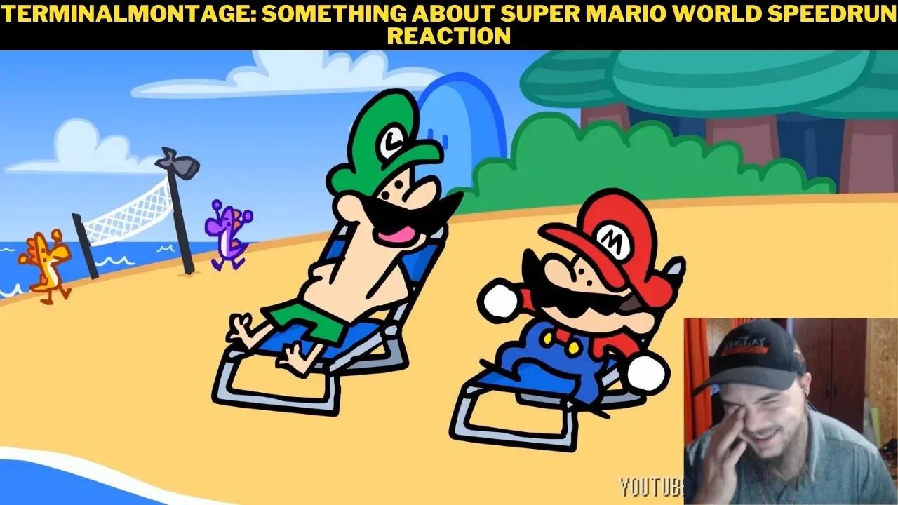 TerminalMontage: Something About Super Mario World Speedrun Reaction