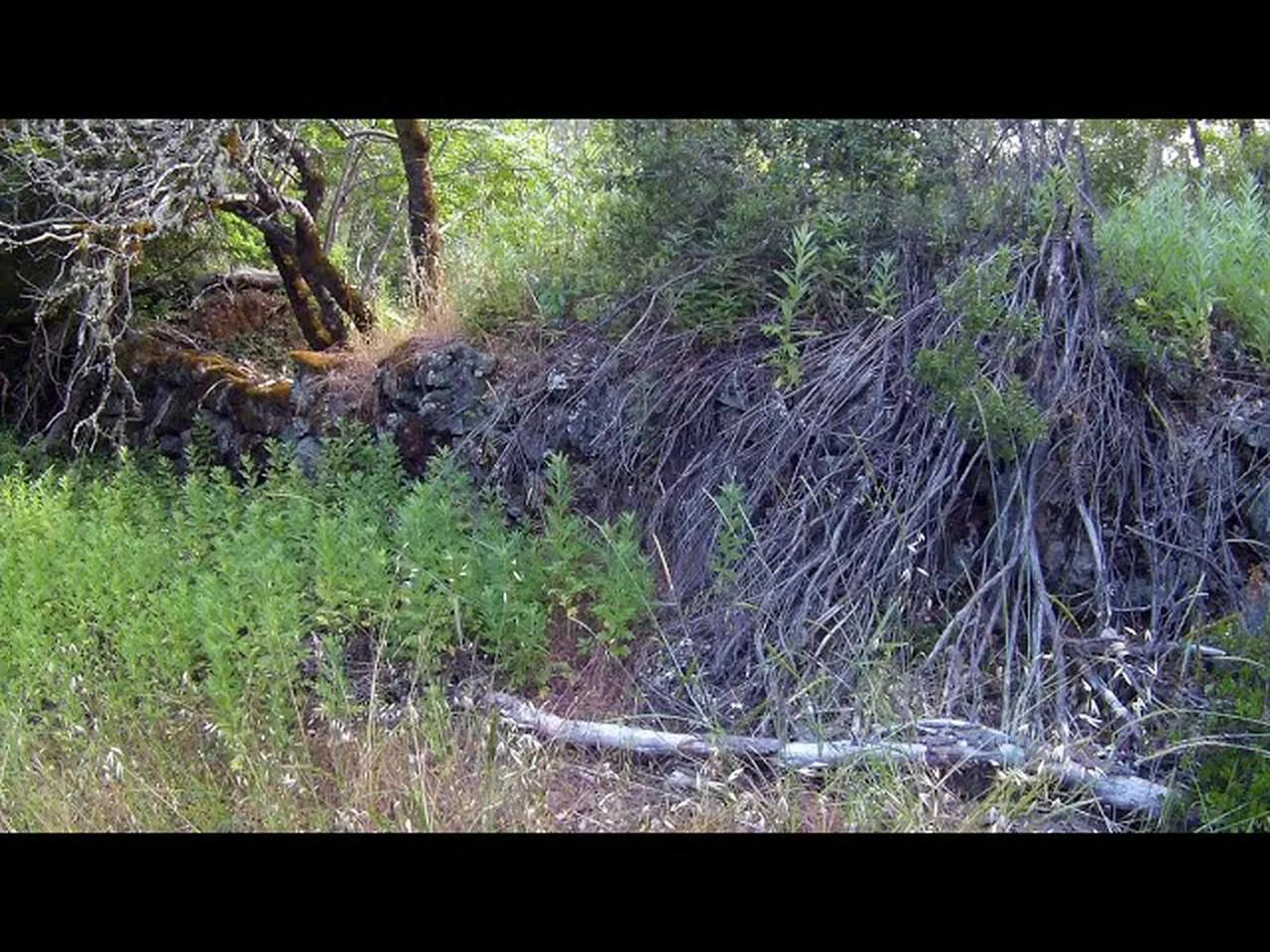 Waterwheel Creek Trail - Trail, Return Visit