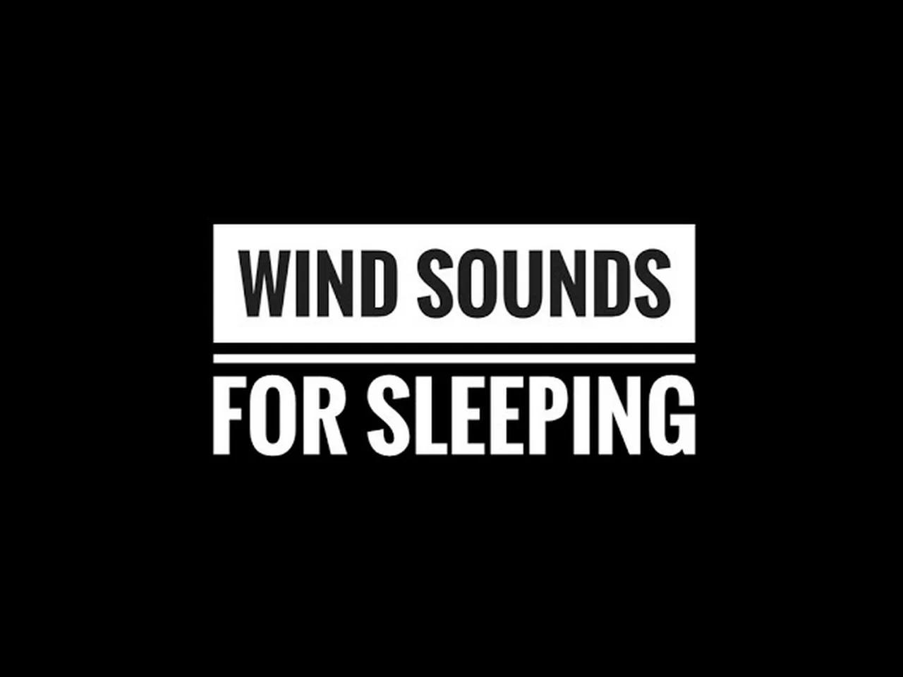 Wind Sounds For Sleeping | Relaxing Wind Sounds