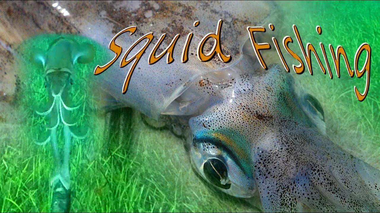 Busselton Squid Fishing from kayak