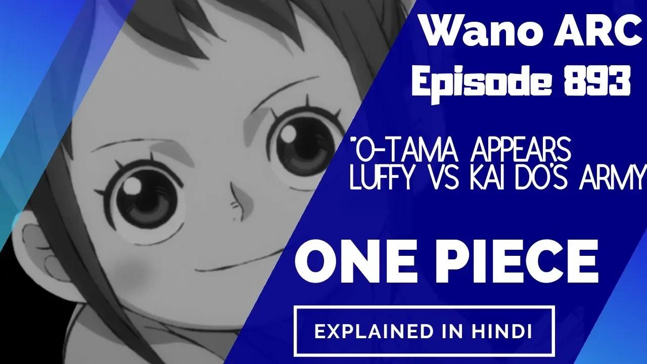 One Piece Episode 893 Wano Country Arc Complete Anime Story Explained ...