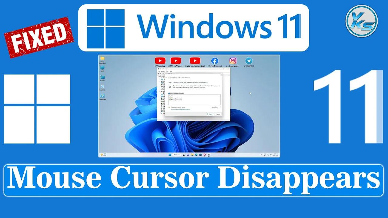 How To Fix Mouse Cursor Disappears in Windows 11 Laptop/Desktop