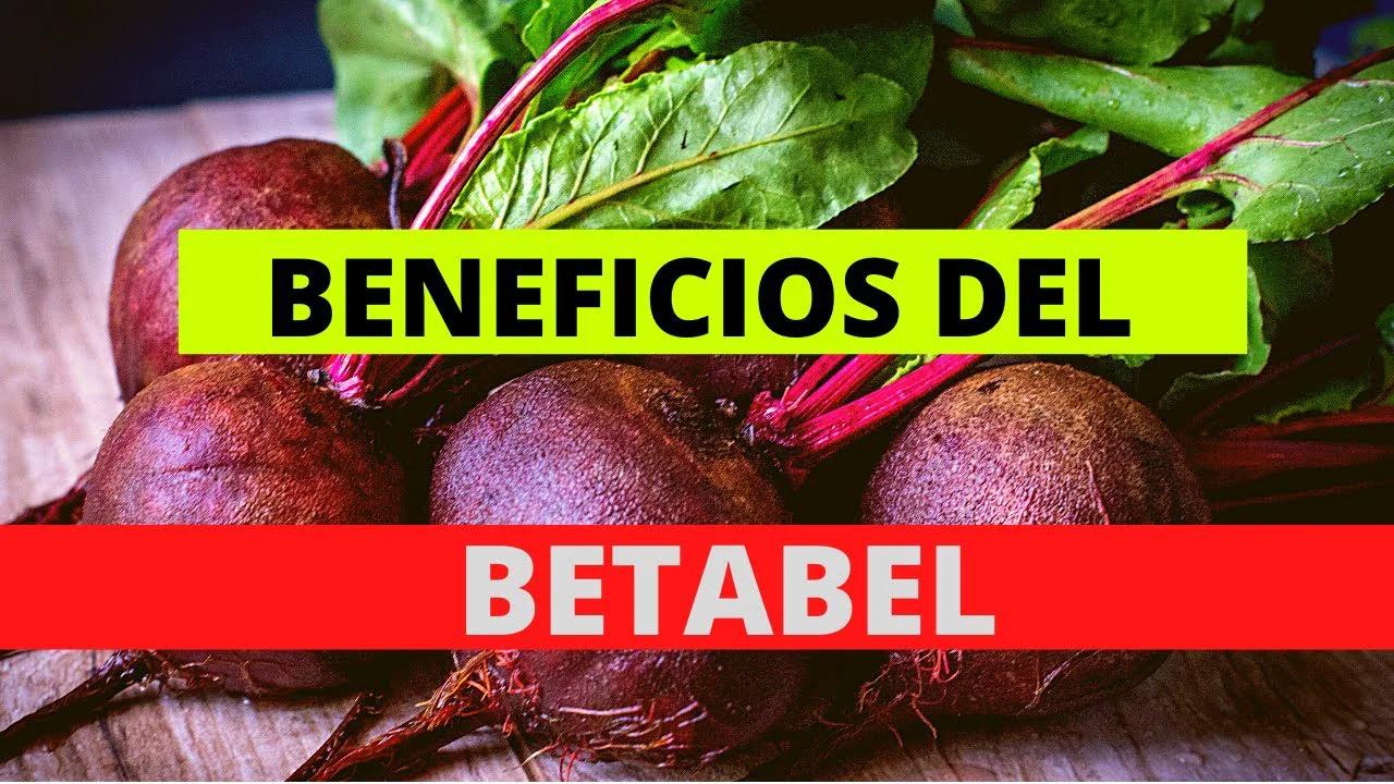 5 BENEFICIOS del BETABEL