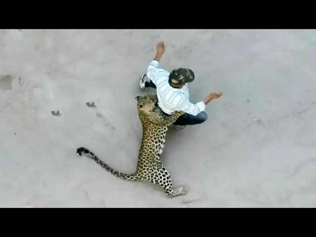 Animal Attacks That Turned DEADLY