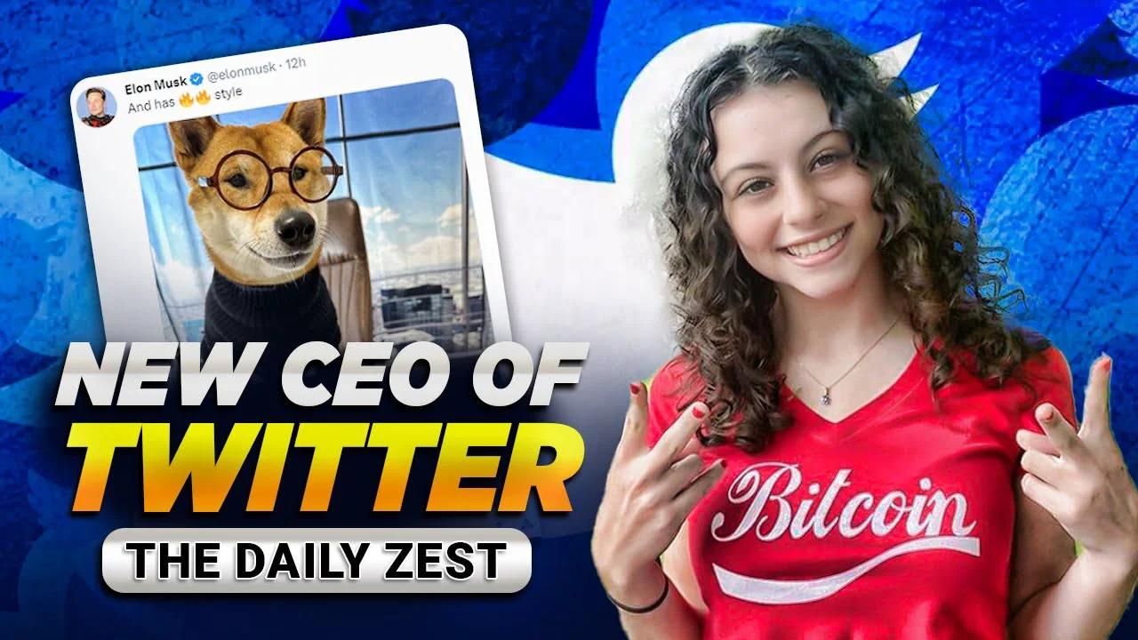 NEW CEO OF TWITTER! DOGE PUMP!
