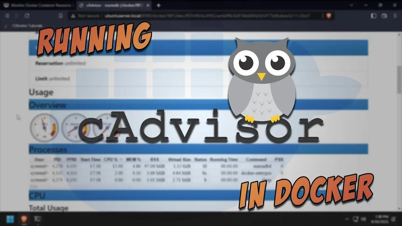 Monitor Docker Container Resource Usage with cAdvisor