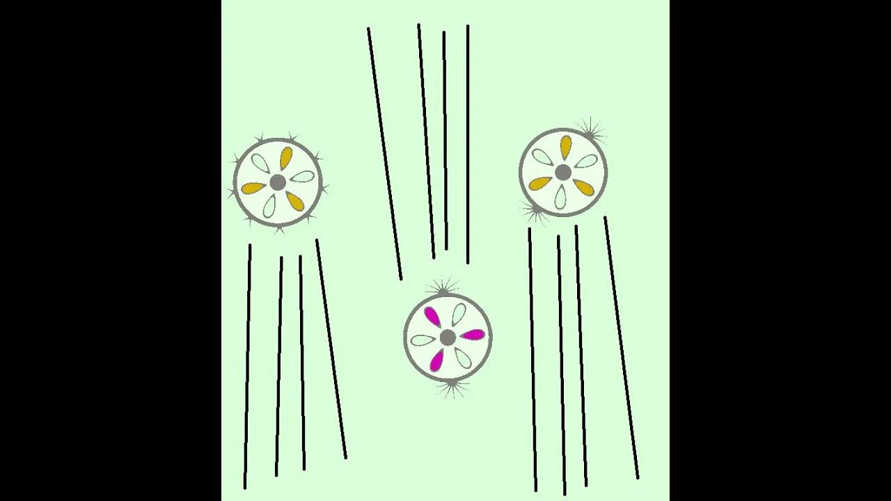 Cell lab – sense type velocity / tipo de detección velocidad. Tutorial ...