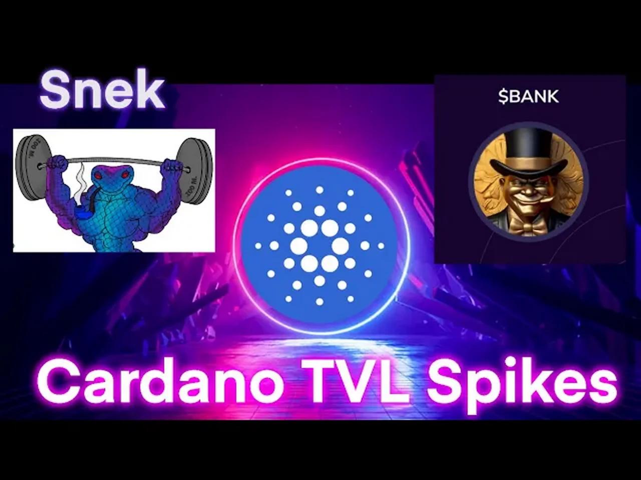 Cardano Meme Token Volume Surges