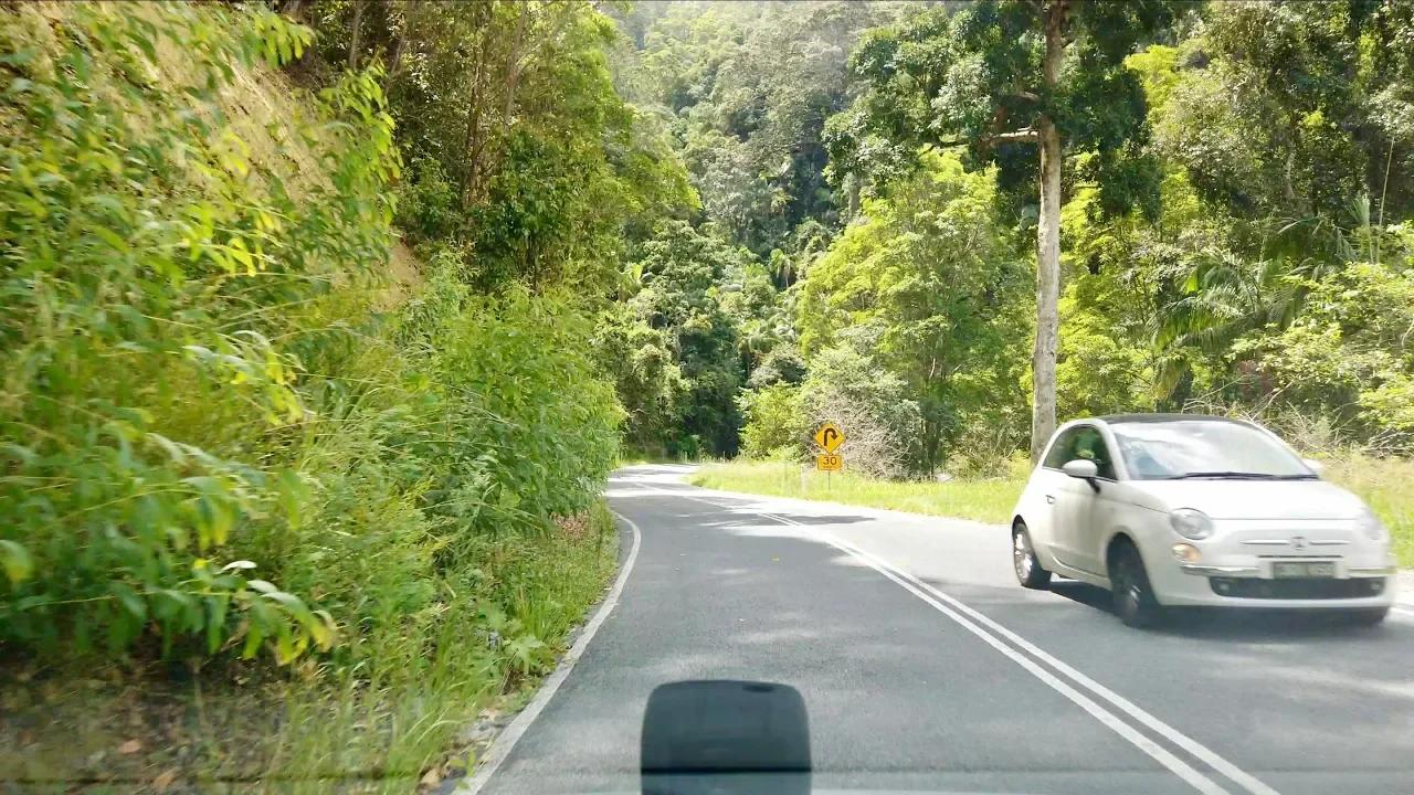 Driving Down Springbrook Mountain - Queensland || AUSTRALIA