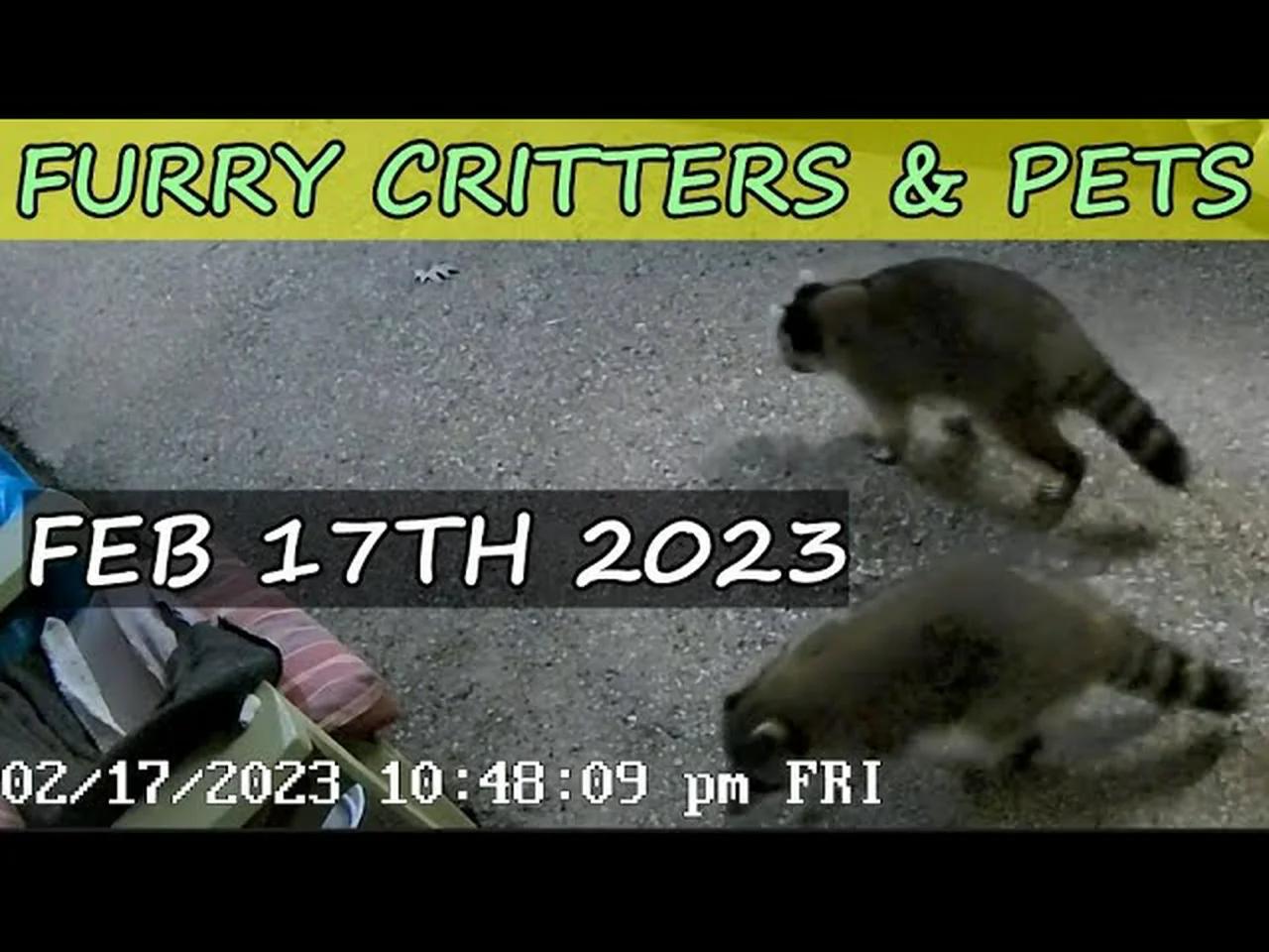 Furry Critters & Pets Feb 17th 2023