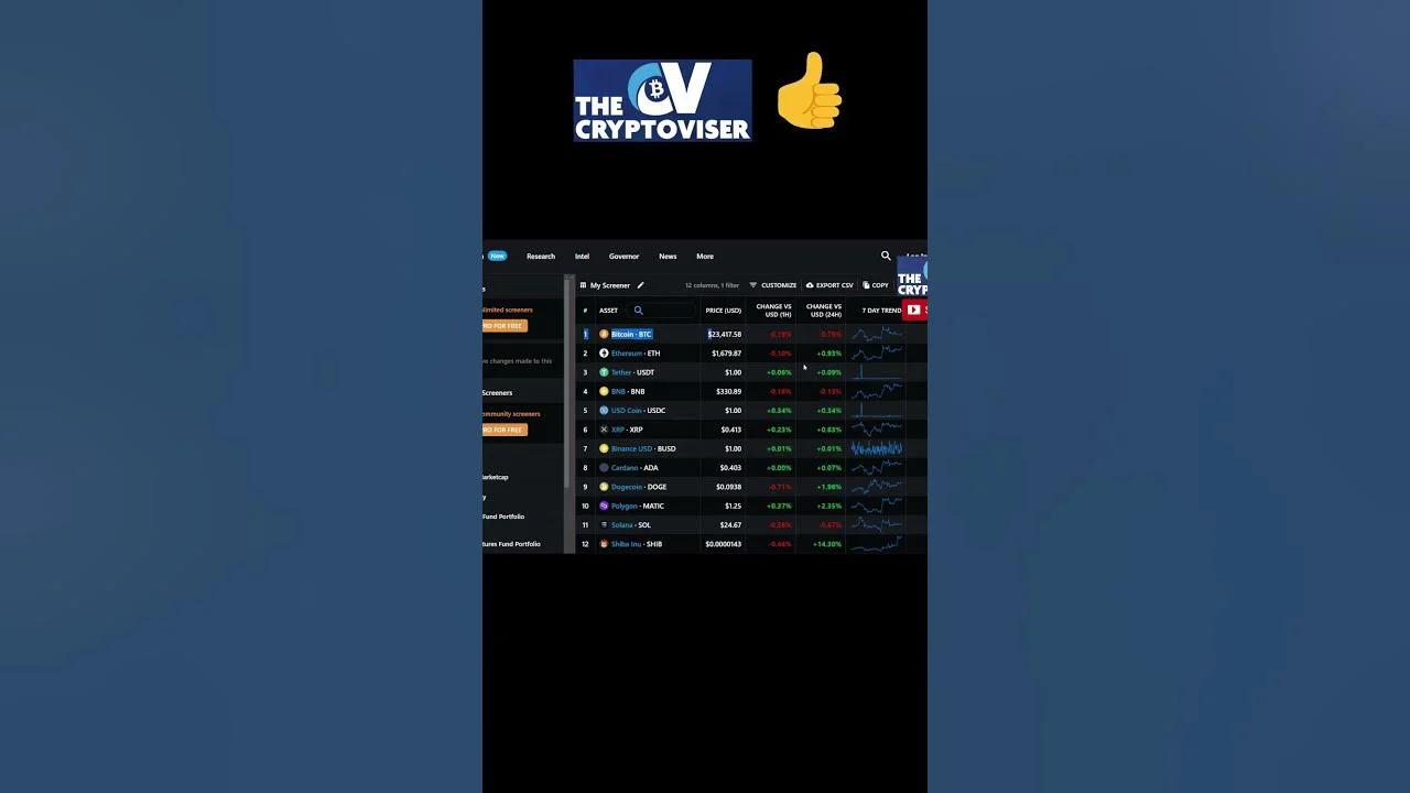 Bitcoin BOOM & BUST Cycles