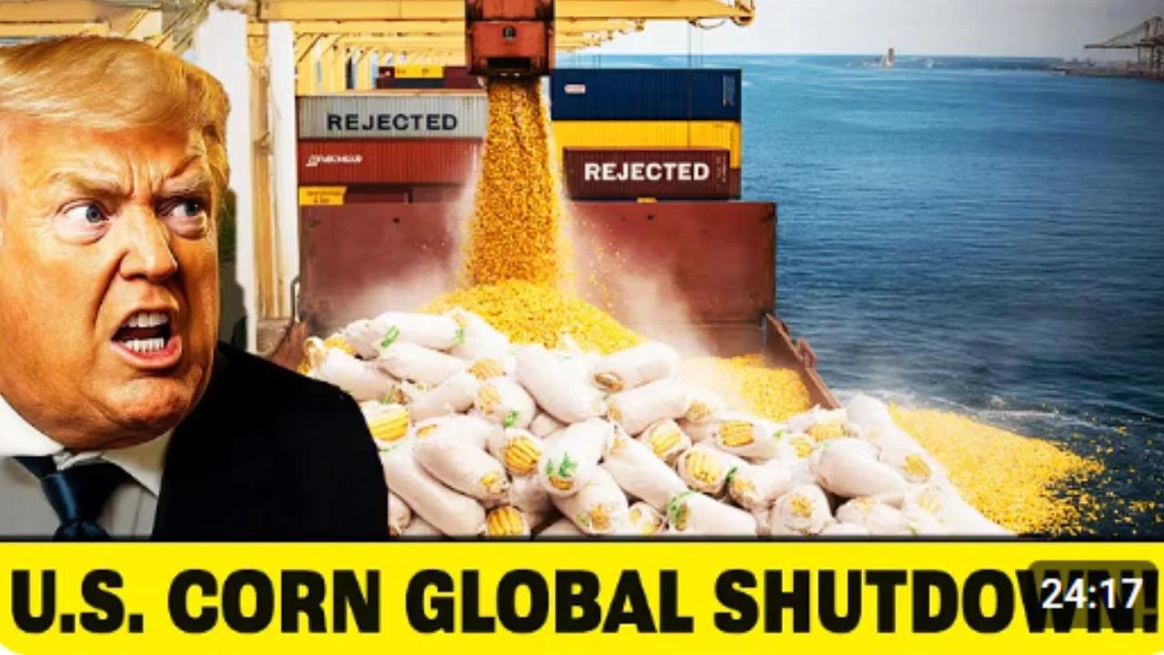 World Rejects U.S.Corn – 10 U.S. States Facing Bankruptcy as Farmers ...
