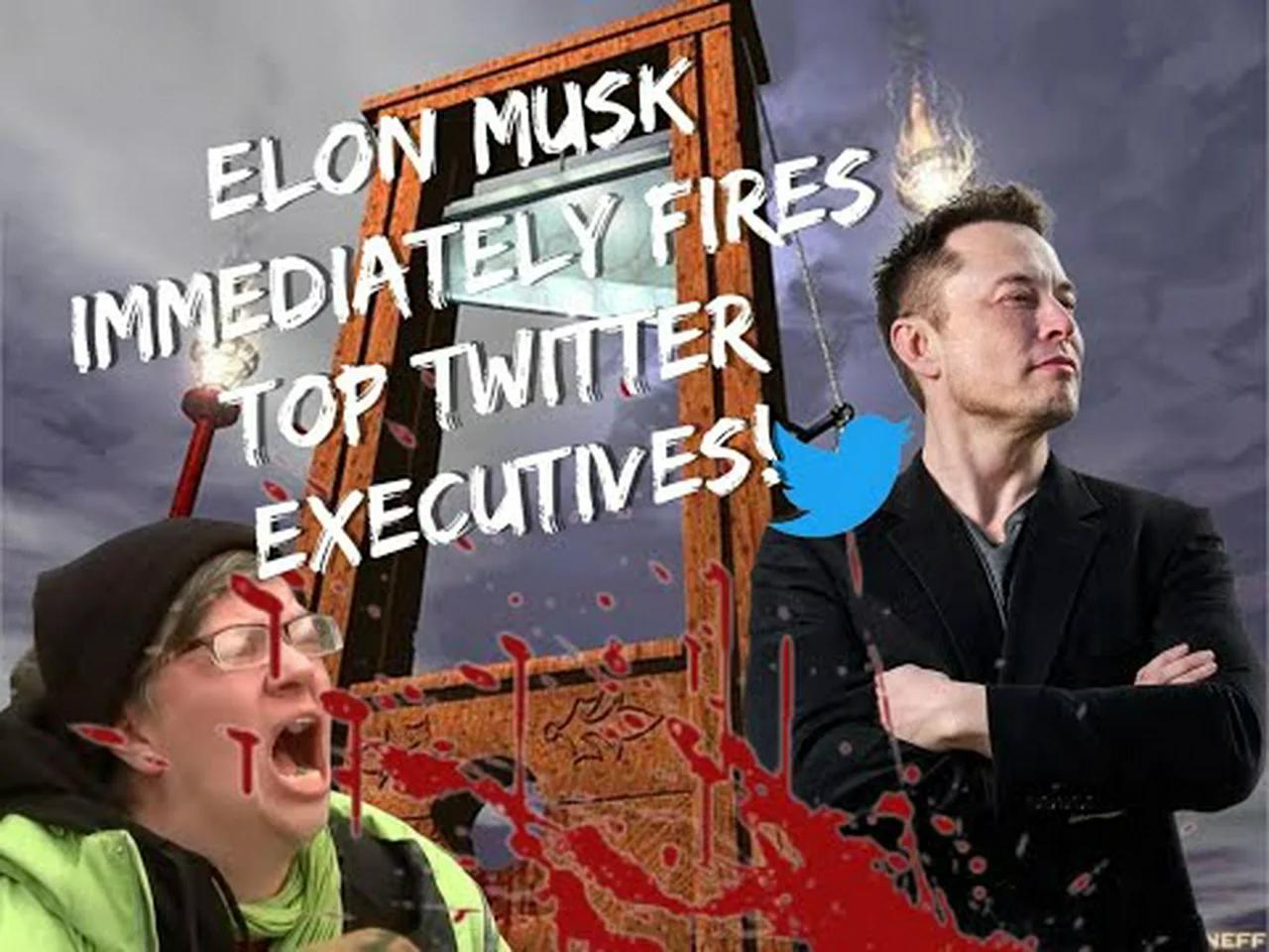 ELON MUSK TAKES OVER TWITTER AND THE HEADS START TO ROLL