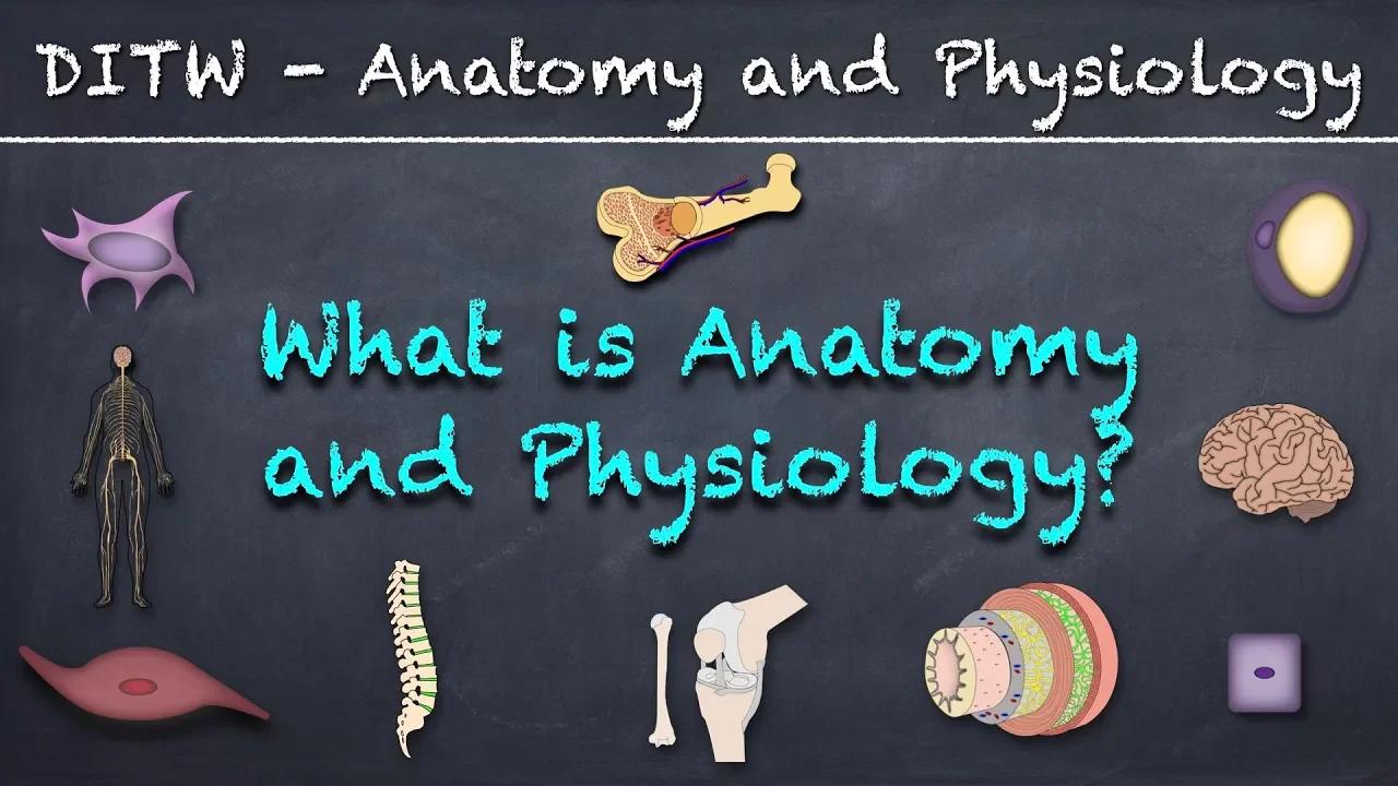 Ditw What Is Anatomy And Physiology