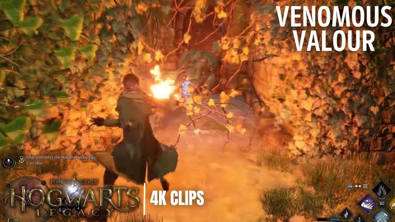 Venomous Valour Side Quest | Hogwarts Legacy 4K Clips (Hidden Herbology ...