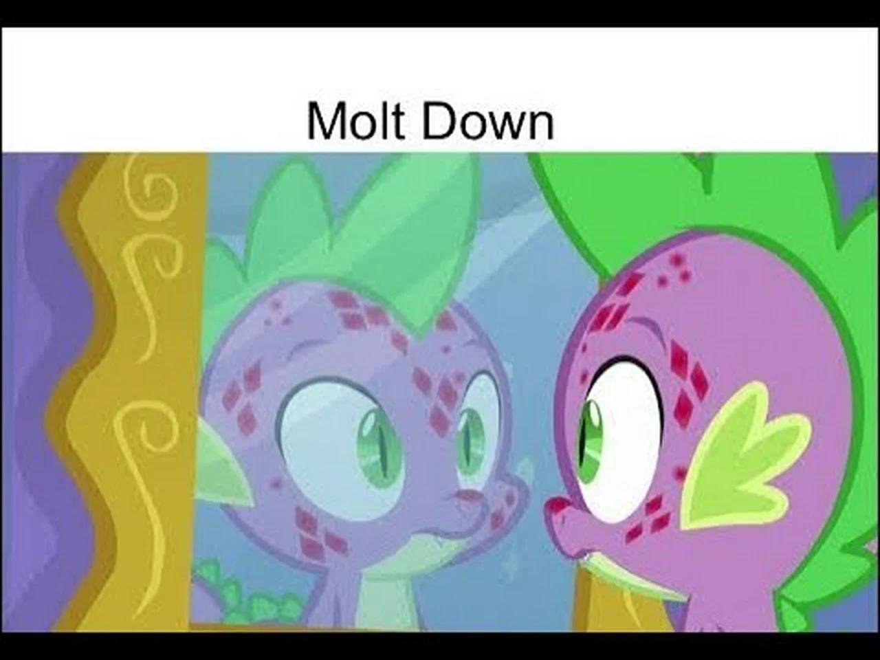 Blind Reaction: MLP:FIM Season 8 Ep. 11 "Molt Down" (PonyBro I Guess)