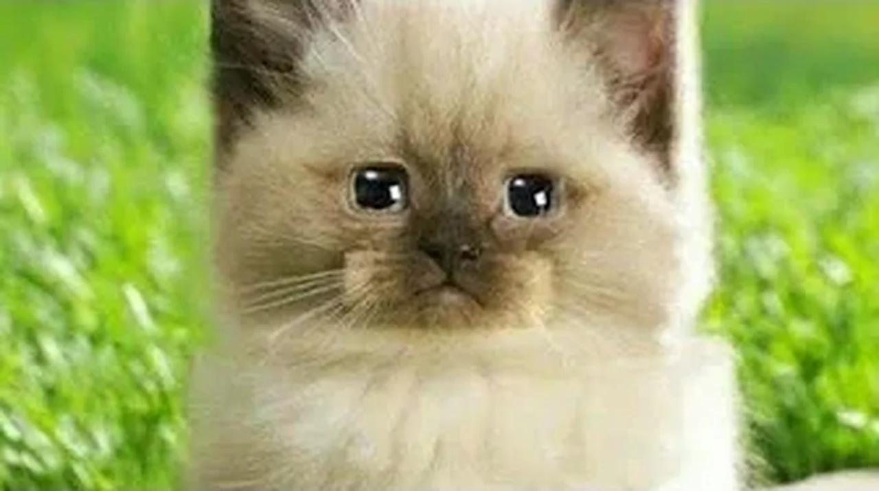 1 Bit 2 Bit 4 Bit 8 Bit 16 BIT 32 Bit 128 Bit 256 Bit 512 Bit 1024 Bit ...