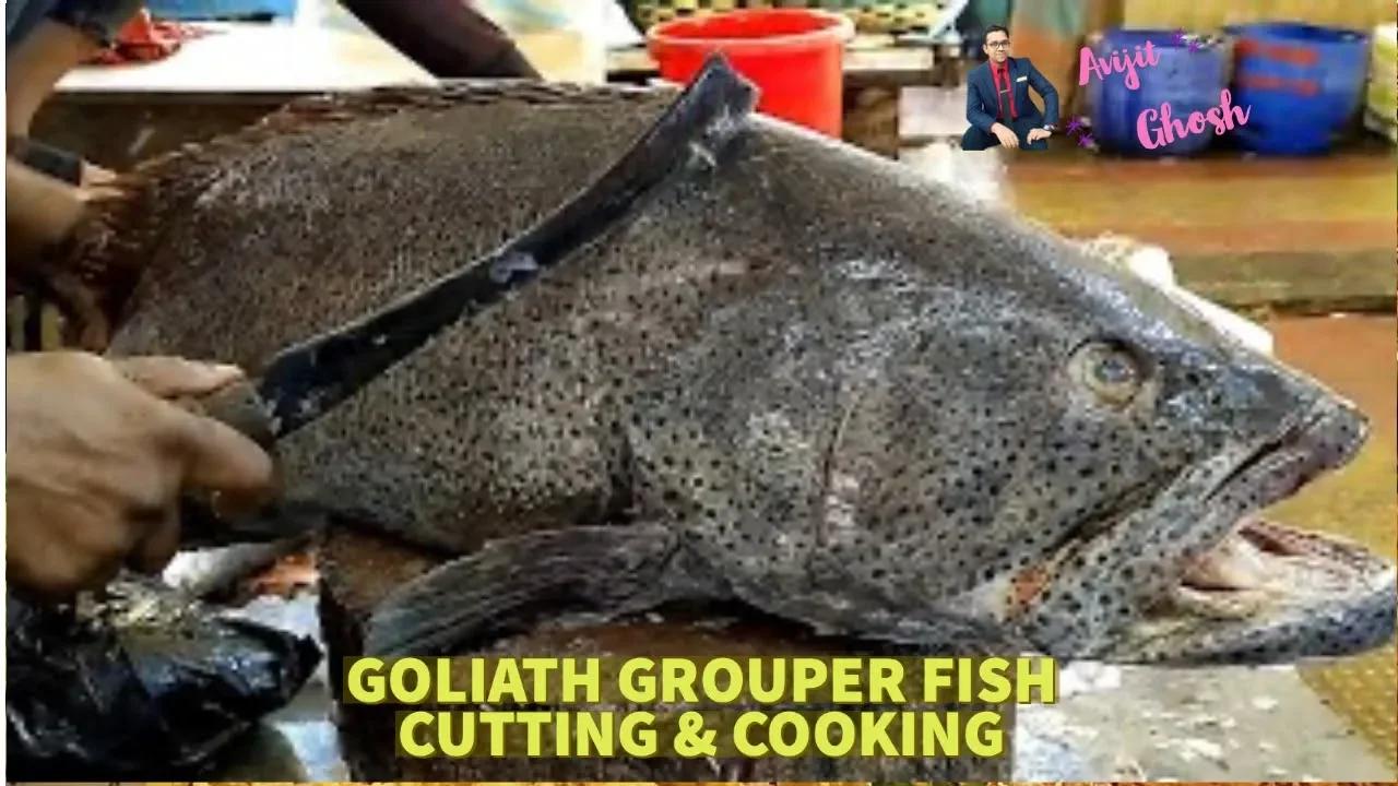 GOLIATH GROUPER FISH CUTTING & COOKING | গোলিয়াথ গ্রুপার ফিশ কাটিংয়ের ...