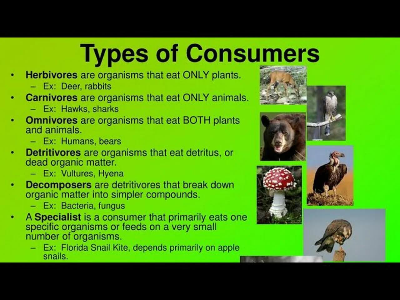 Do consumers understand what they are consuming?
