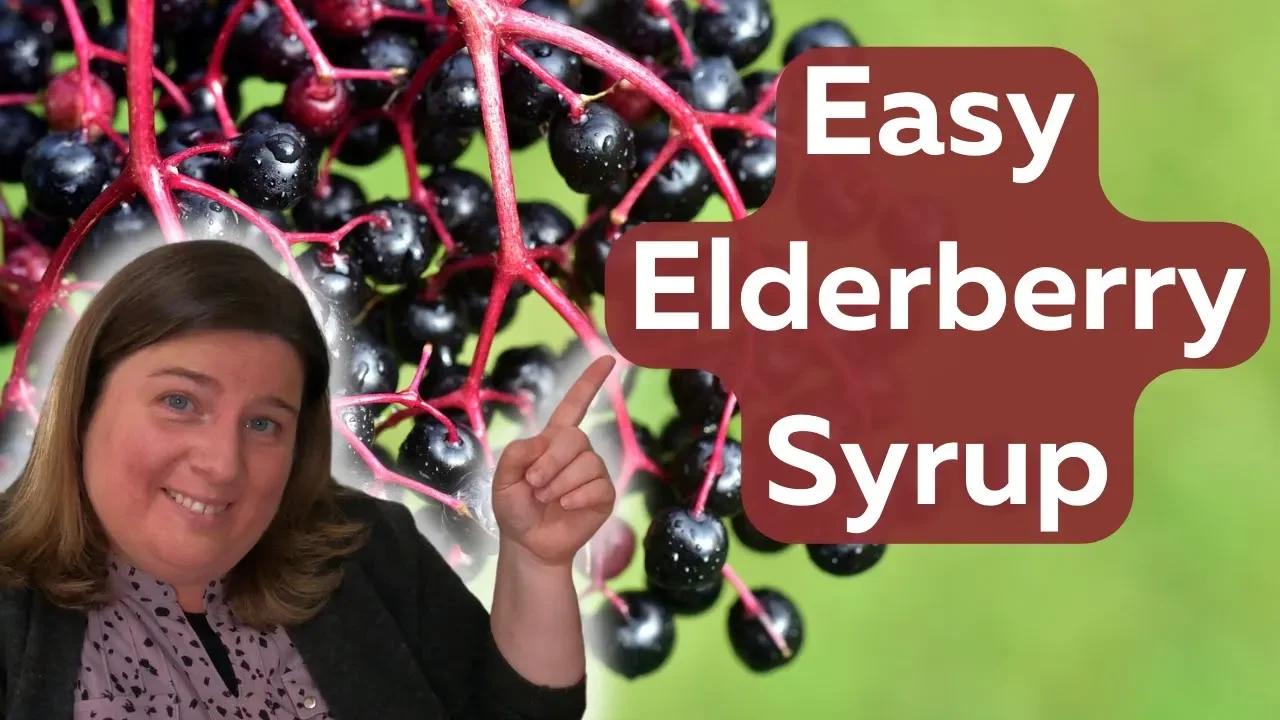 How To Make Elderberry Syrup | Using Dried Berries | Quick And Easy Recipe