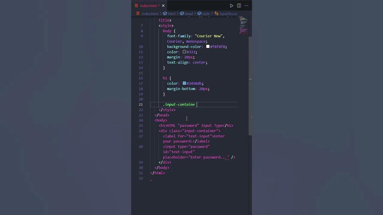 Html Password Input Type Beginner Tips Html Css 3548