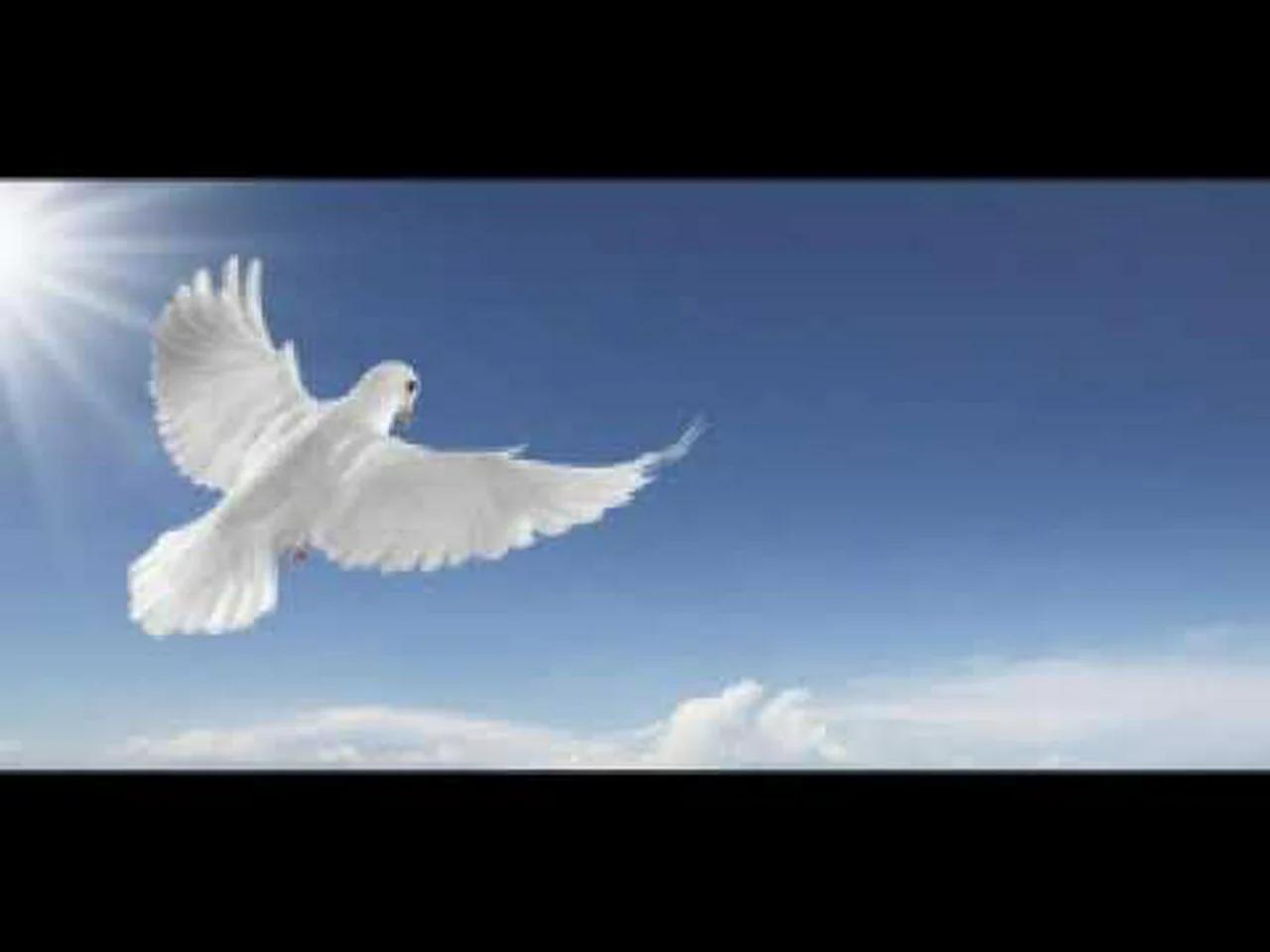 Fra Ivo Pavić - Duh Istine