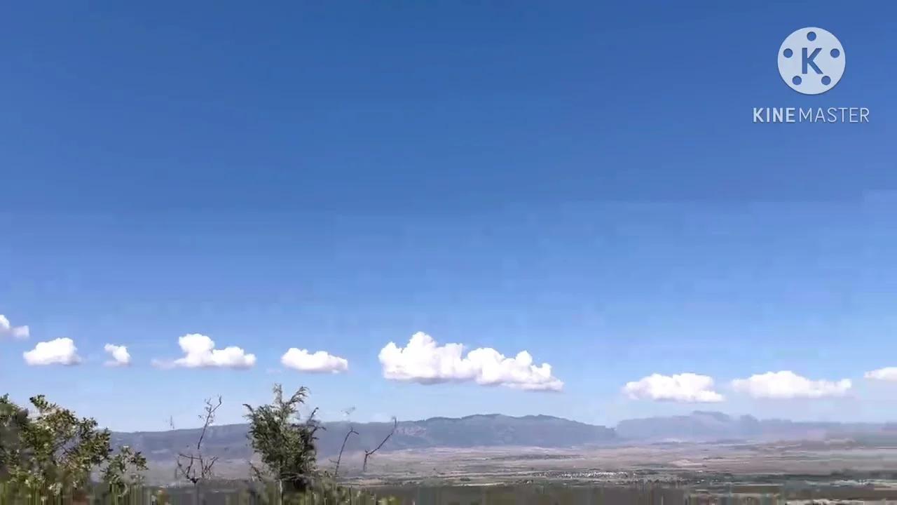 Shaking the bushes boss.