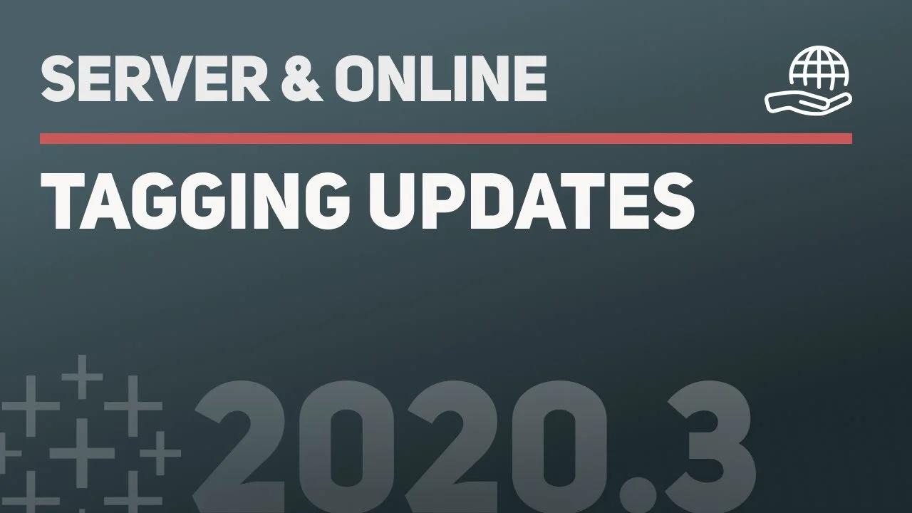 Tableau Server & Online Tagging Updates in 2020.3 & Metdata API